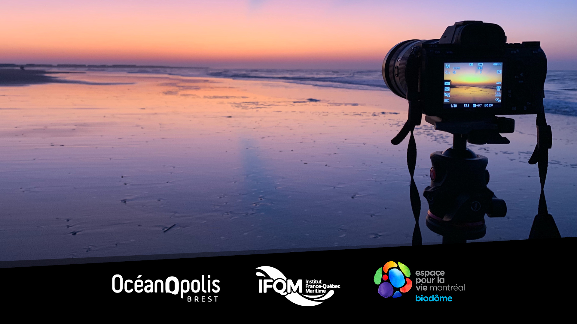 Dévoilement des gagnants du 2e concours photo de l'IFQM - Un Océan à ...